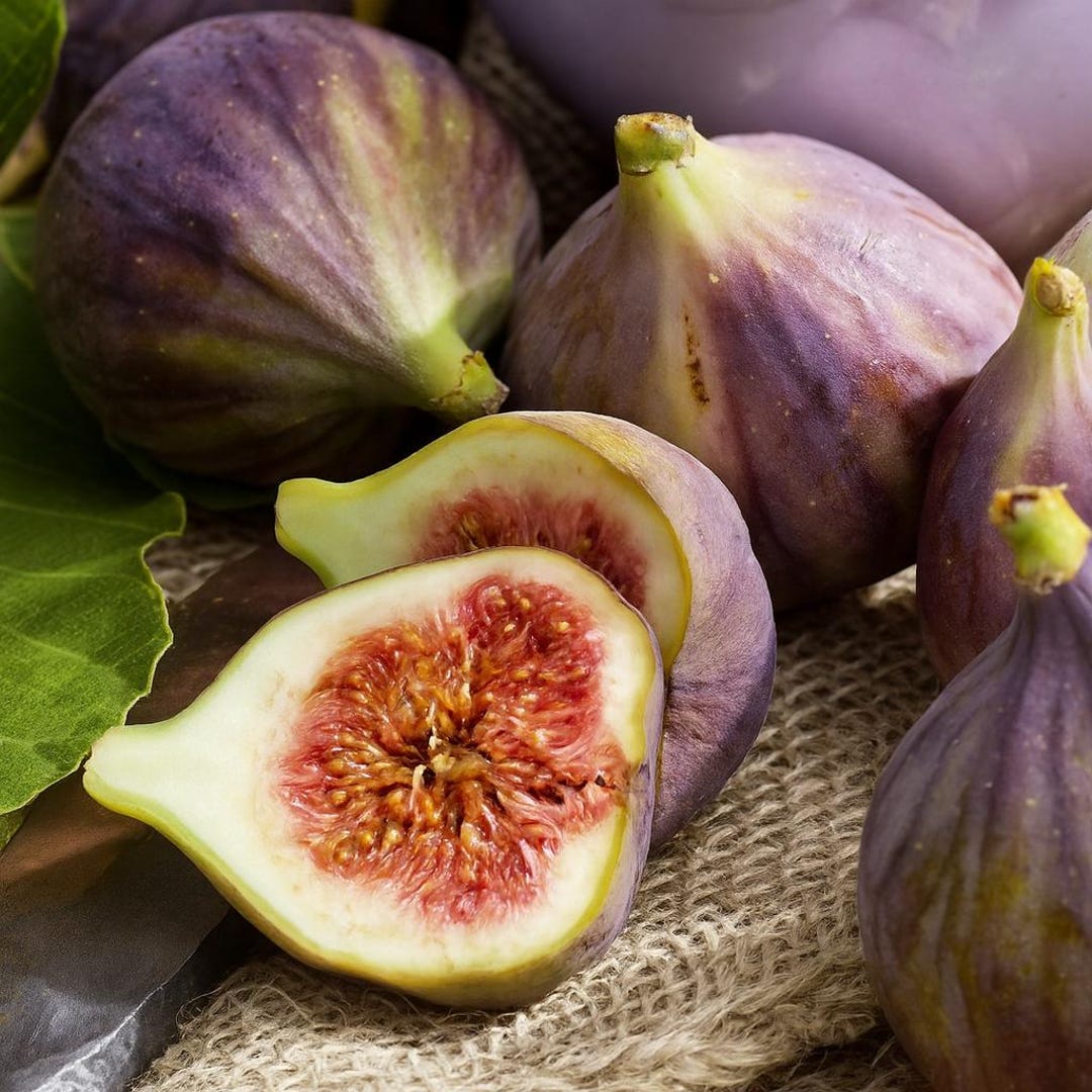 Fig Tree ‘magnolia’ – Ficus Carica Live Starter Plant | Fruiting Fig ...