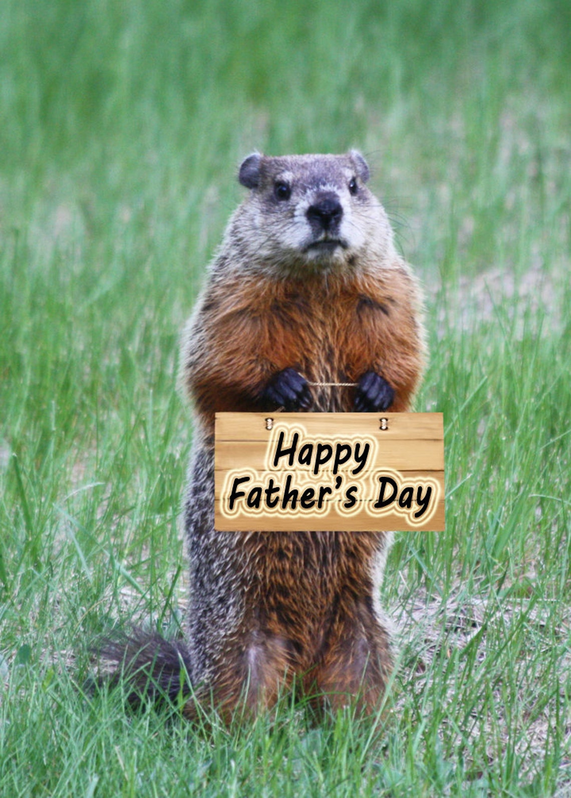 Father's Day Card Happy Father's Day Funny Groundhog - Etsy
