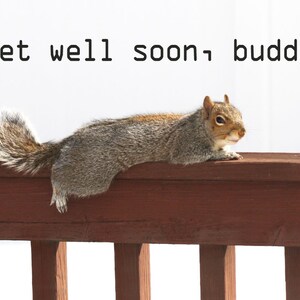 Get Well Soon Card - Feel Better Soon Card Squirrel Greeting Card ...