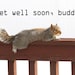 Get Well Soon Card - Feel Better Soon Card Squirrel Greeting Card ...