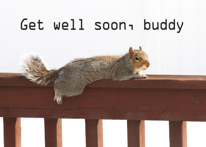 Get Well Soon Card Feel Better Soon Card Squirrel Greeting - Etsy