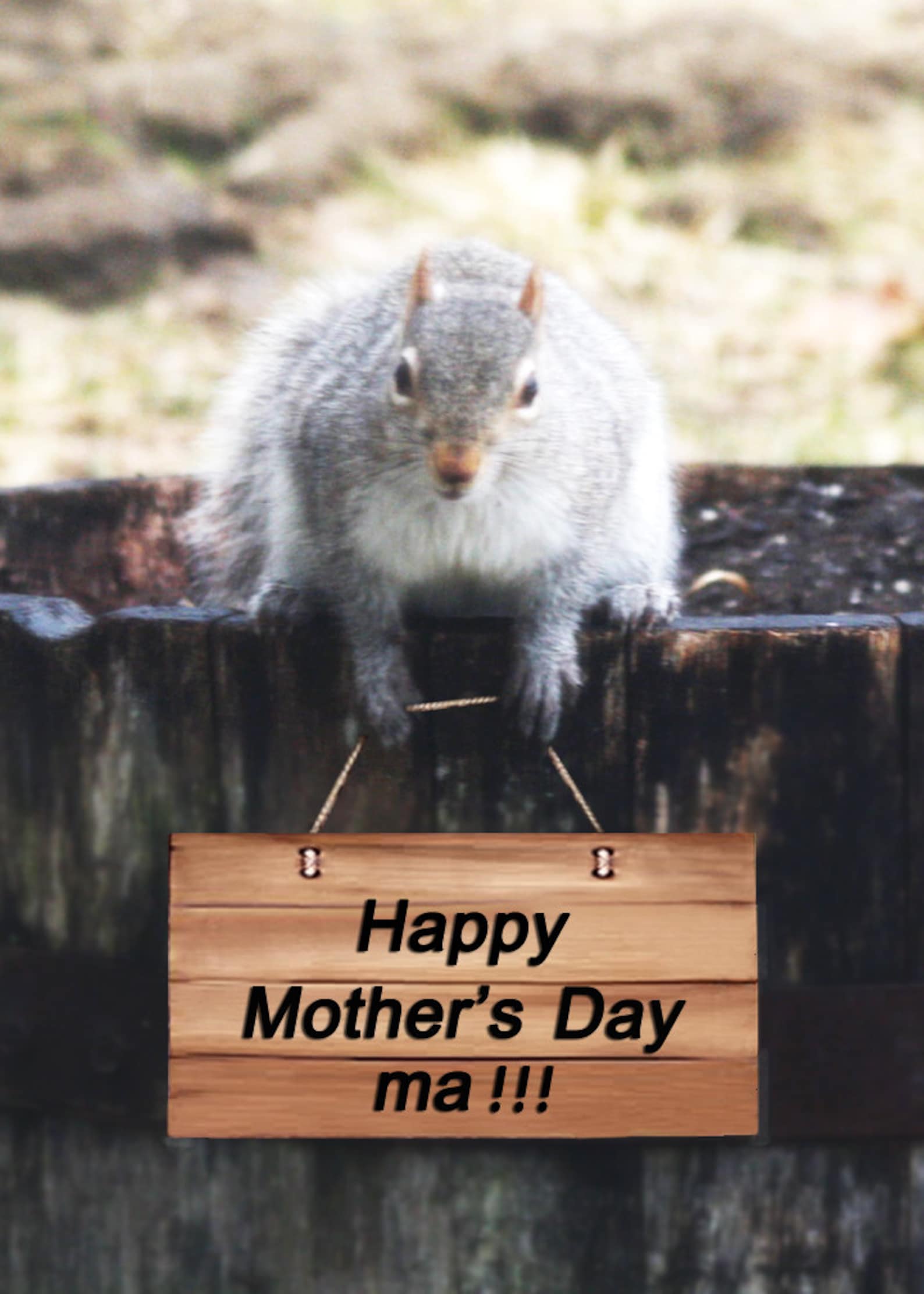 Squirrel Mothers Day Card Funny Mother's Day Card - Etsy
