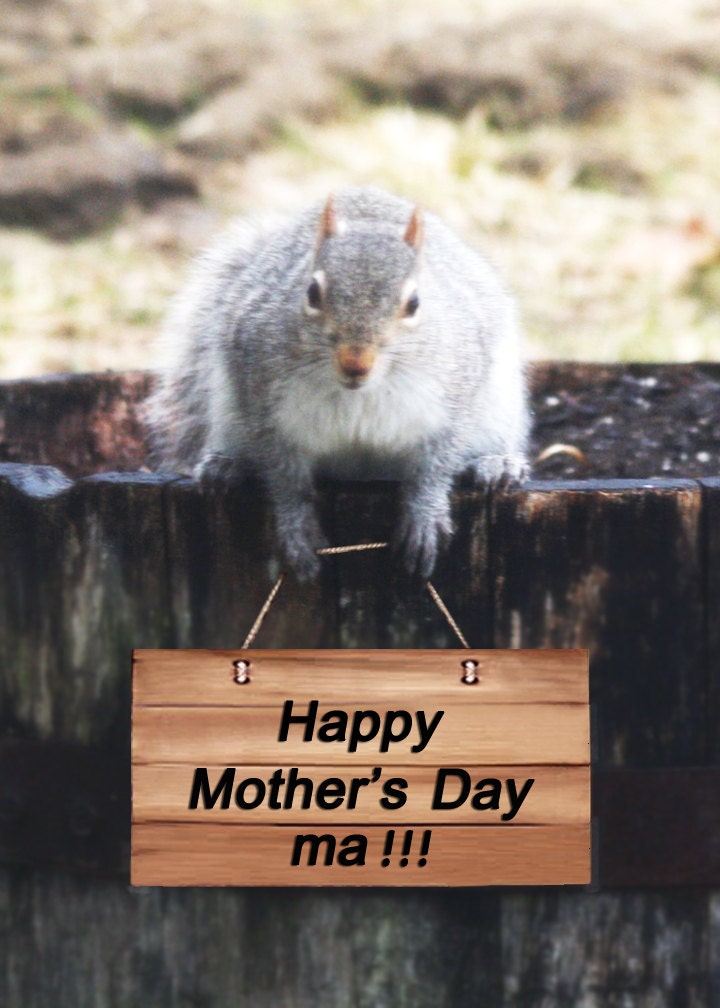 Squirrel Mothers Day Card - Funny Mother's Day Card - Happy Mother's ...