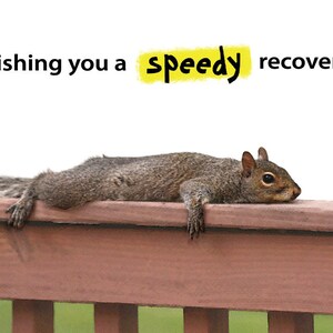 Get Well Card - Feel Better Card - Wishing You a Speedy Recovery ...