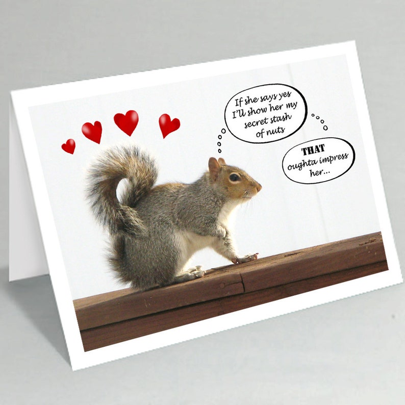 Funny Squirrel Greeting Card Funny Cards Valentine's Day - Etsy