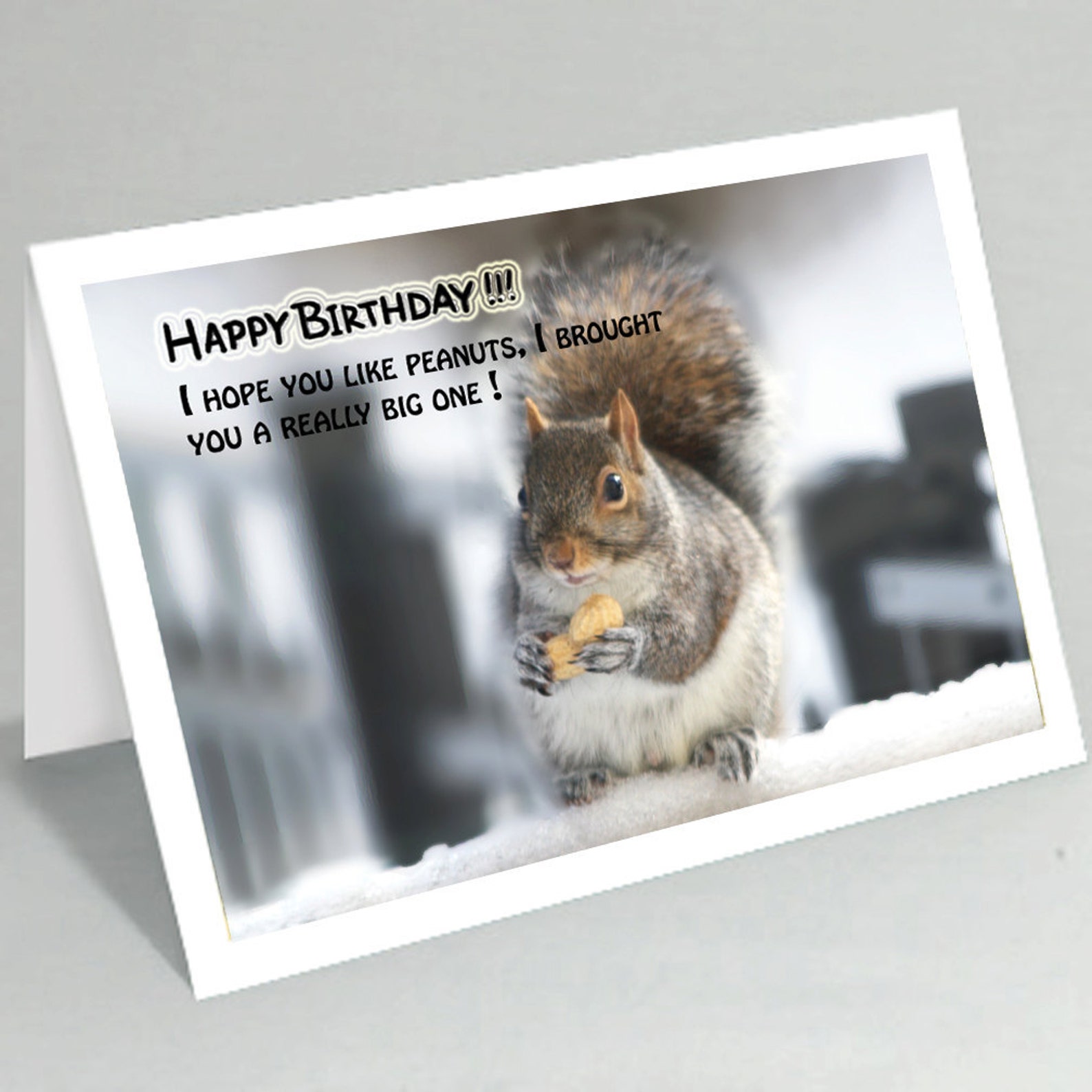Funny Birthday Card Squirrel With Big Peanut Birthday Card - Etsy