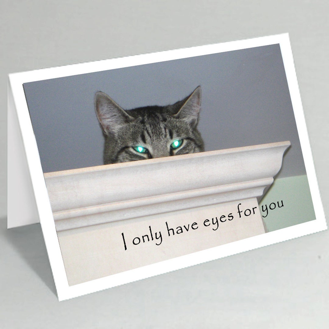 I Only Have Eyes for You Cat Greeting Card Cat - Etsy