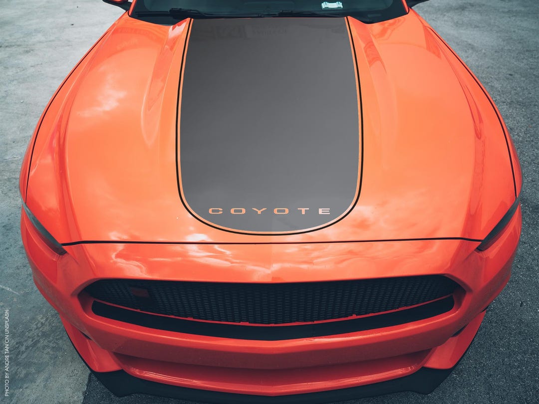 Mustang Coyote Car Kit - Etsy