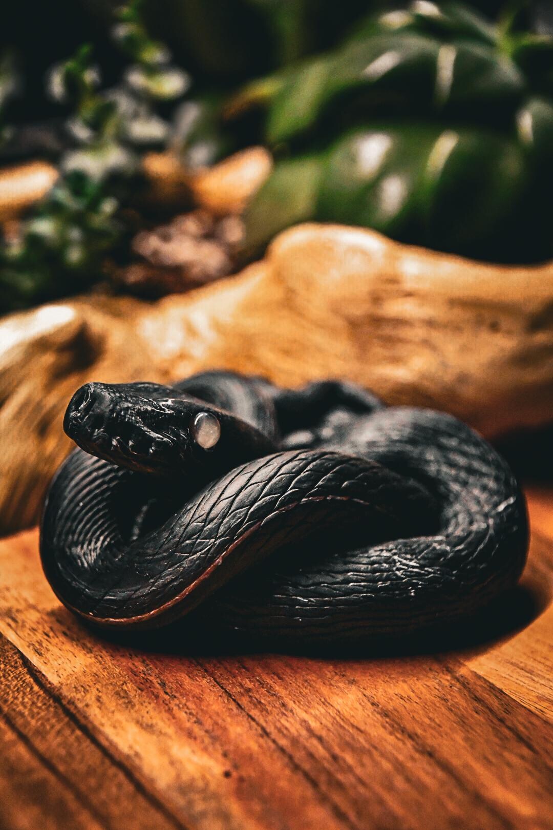 Polymer Clay Snake, Clay Figure, Snake, Handmade, Decoration, Sculpture ...
