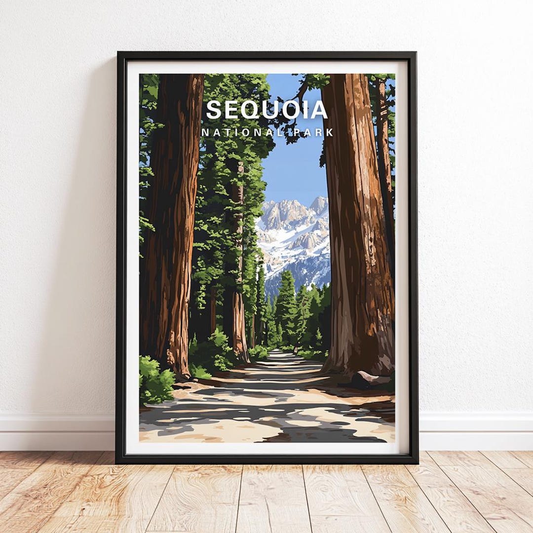 Sequoia National Park Poster Sequoia Tree Poster Sequoia Print Sequoia ...