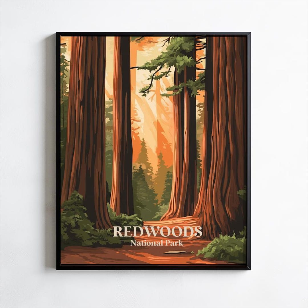 Redwoods National Park Poster, Print, Wall Art, California Print ...