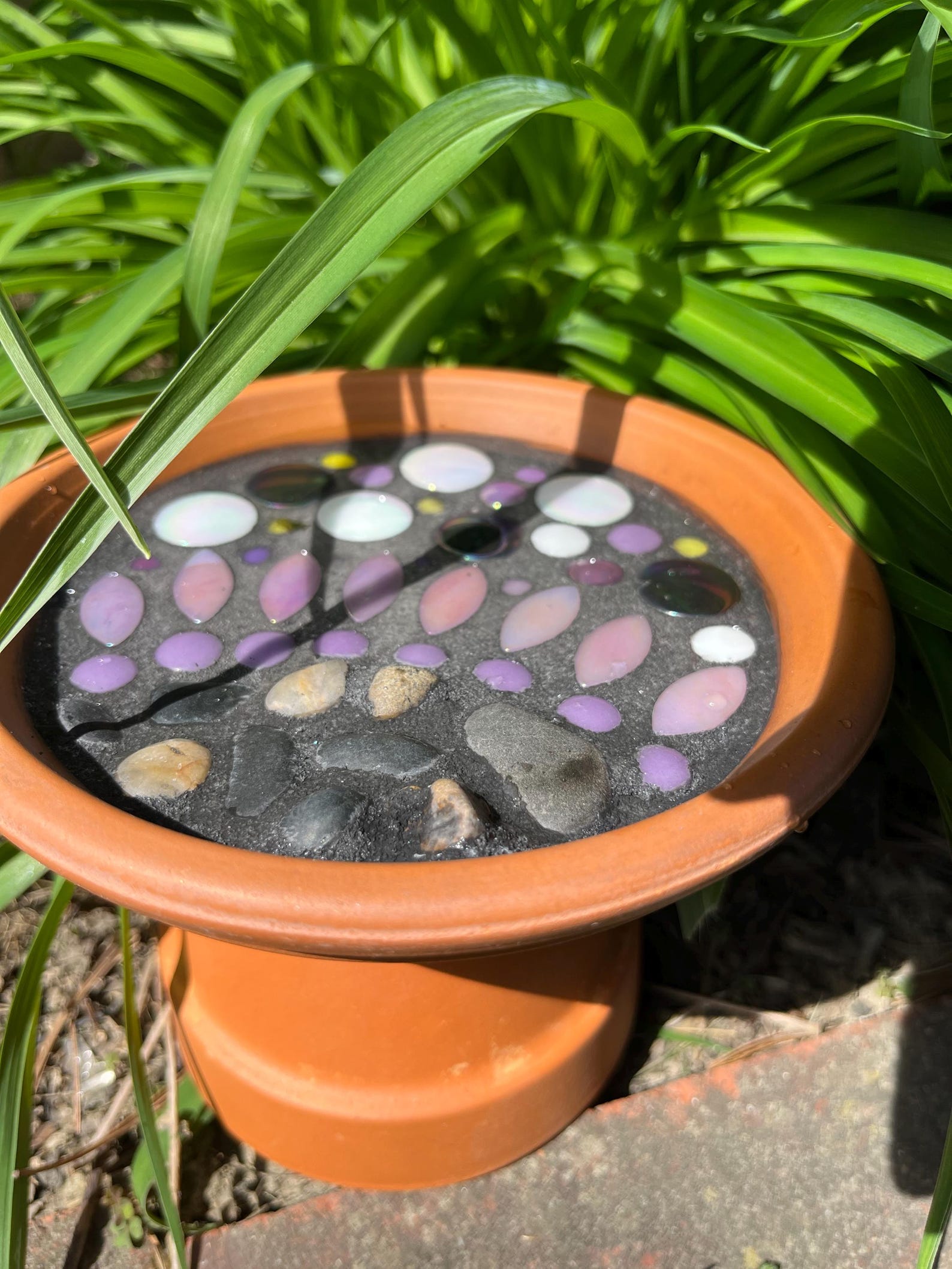 Mosaic Bee/butterfly Bath Watering Station Pollinator, Puddler With ...