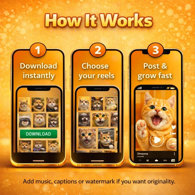 900+ Cat Reels Bundle – Funny Viral AI Cat Videos for Tiktok Instagram ...