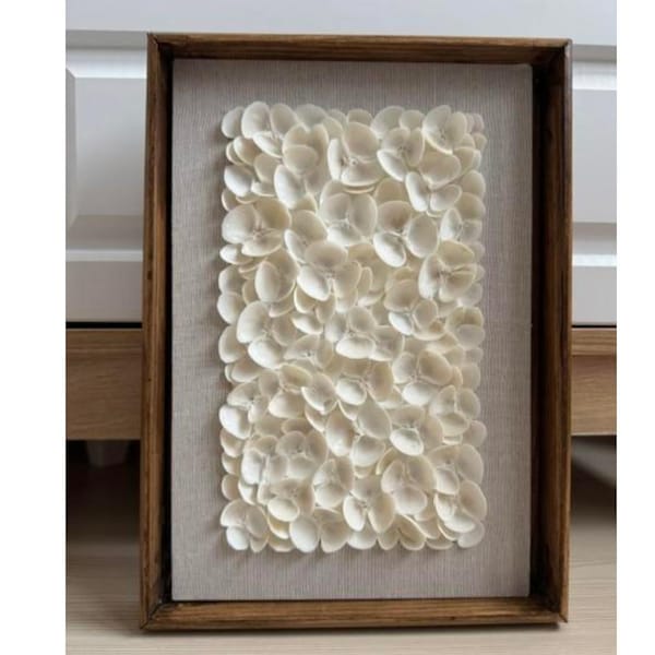 Shell Wall Art - Etsy