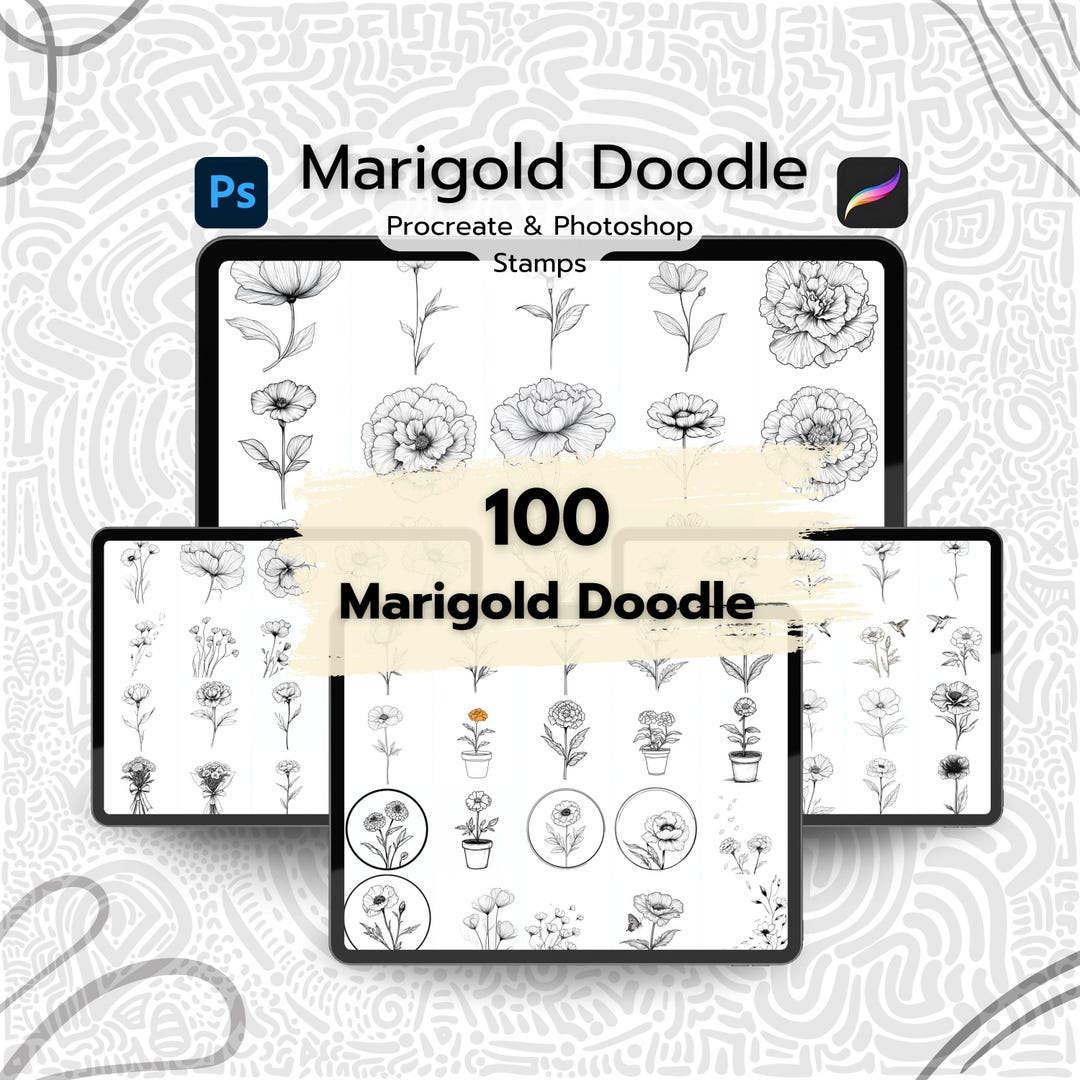100 Marigold Doodle Procreate Stamps, Procreate Marigold Stamps ...