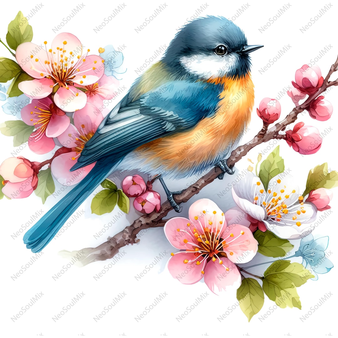 36 Floral Birds Clipart Bundle | Spring Birds Clipart | Blossom Bird ...