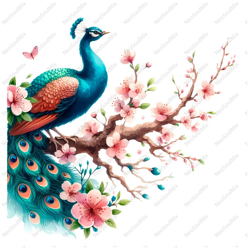 20 Peacock Bird Clipart Jpgs, Printable Watercolor Clipart, Sping ...