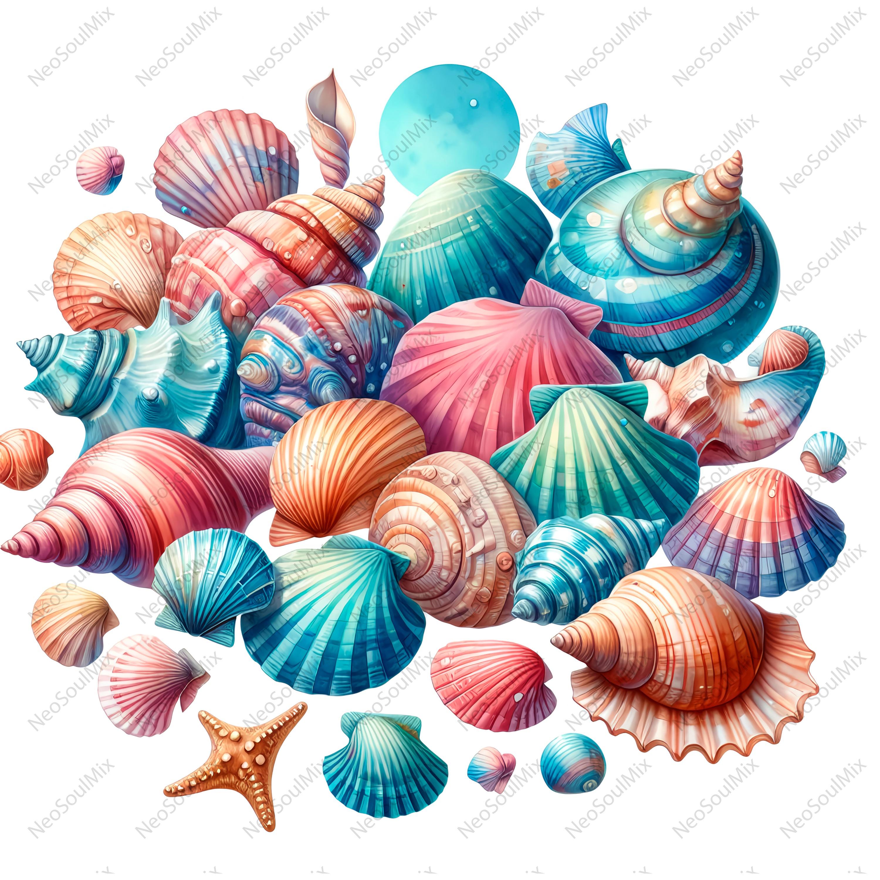 23 Sea Shells Clipart | Seashell Clipart | Printable Watercolor Clipart ...