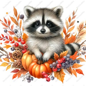 18 Cute Fall Raccoons Clipart | Watercolor Autumn Raccoon | High ...
