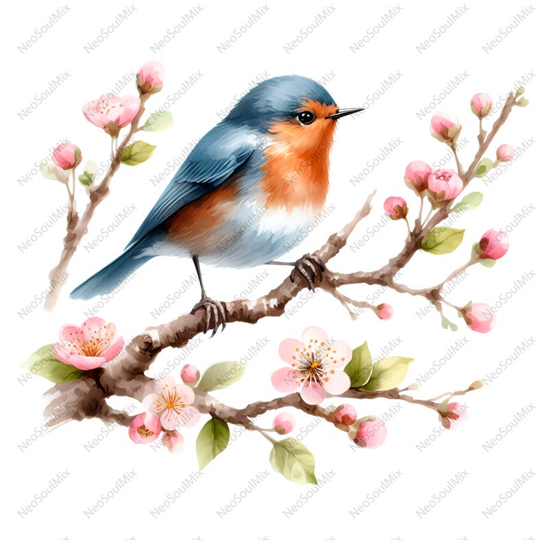 36 Floral Birds Clipart Bundle | Spring Birds Clipart | Blossom Bird ...