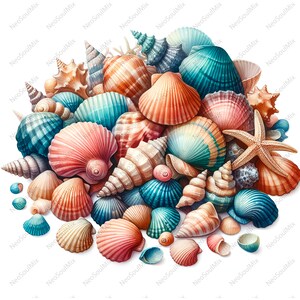 23 Sea Shells Clipart | Seashell Clipart | Printable Watercolor Clipart ...