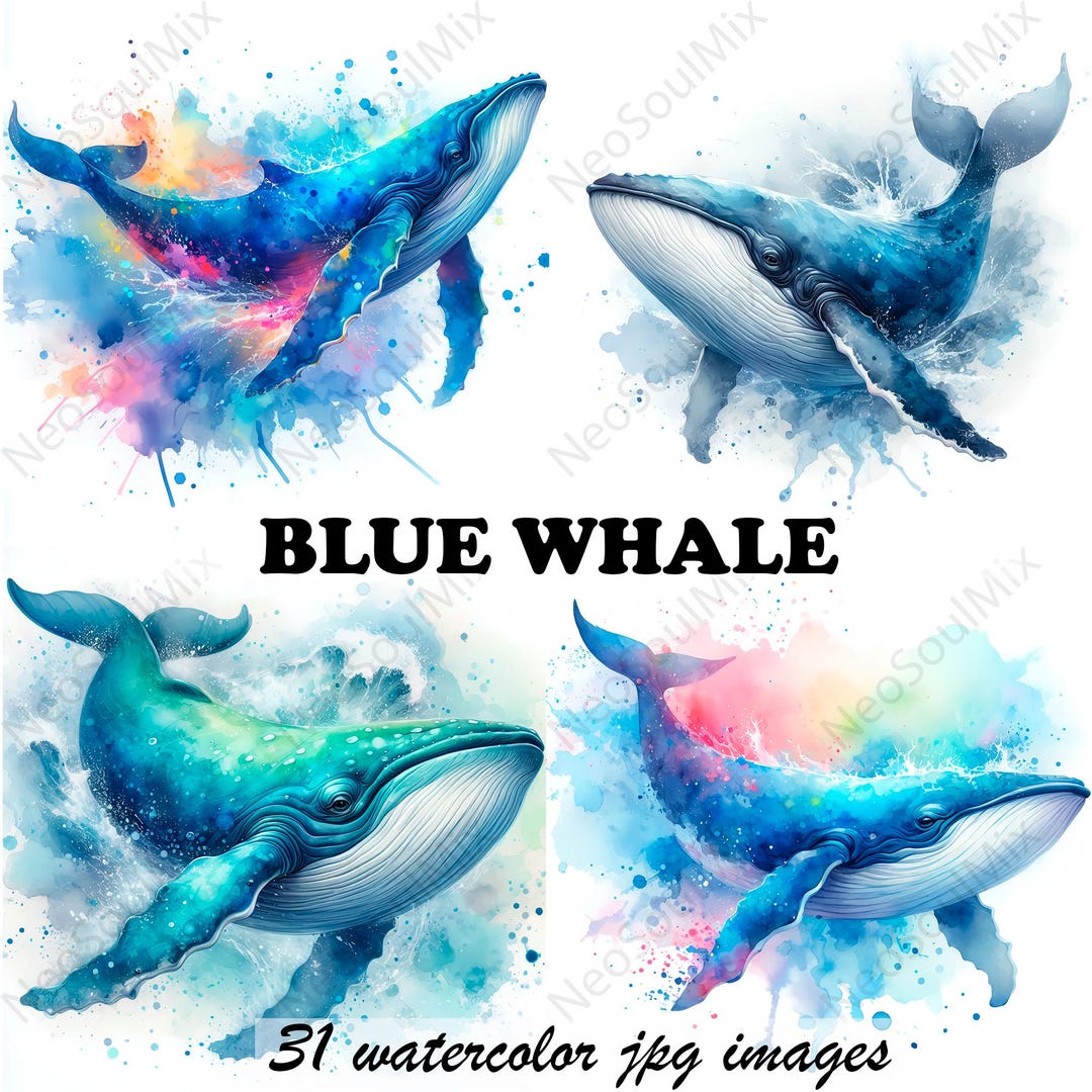 31 Blue Whale Clipart, Whale Illustration, Printable Watercolor Clipart ...