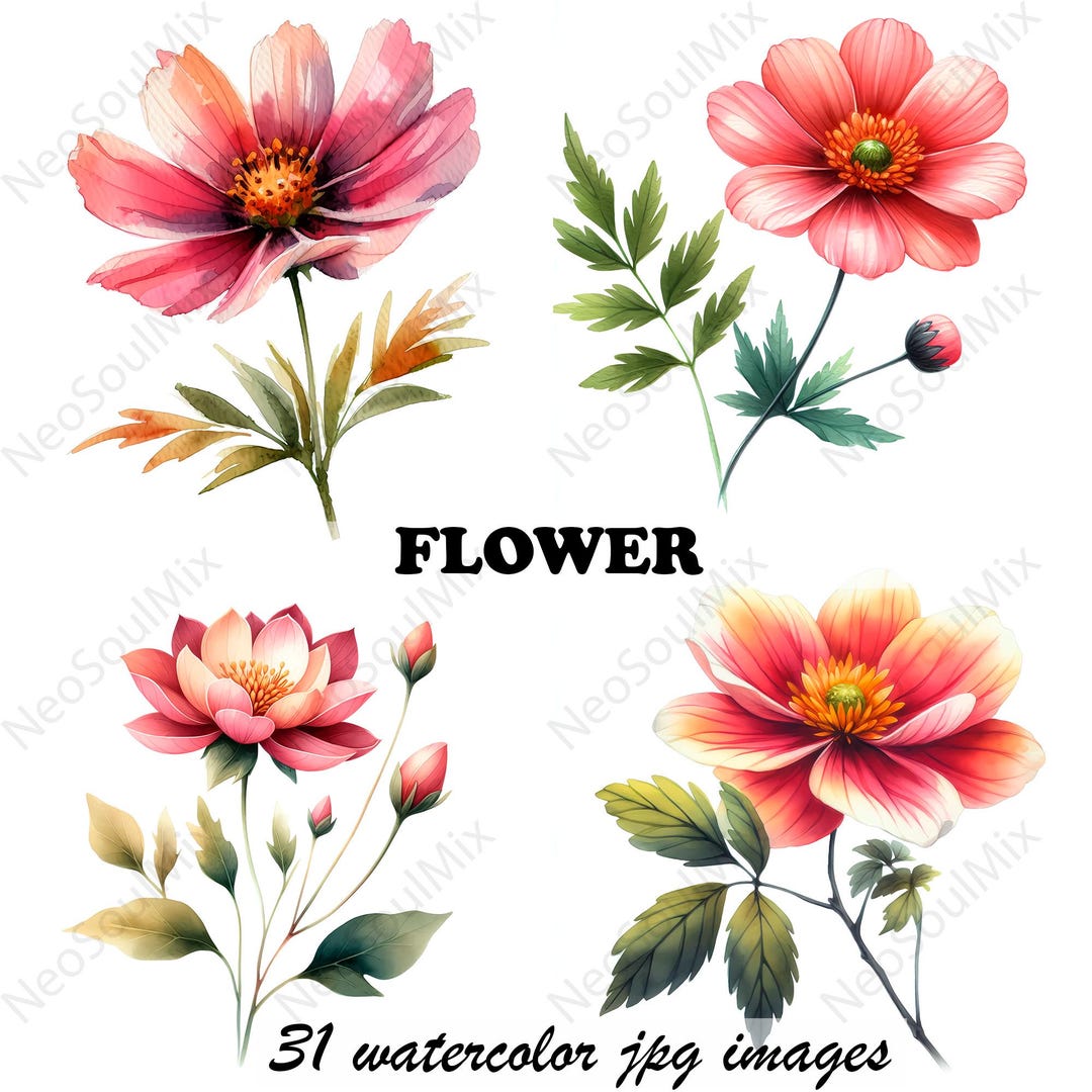 31 Various Flowers Clipart, Colorful Flowers Clipart, Printable ...