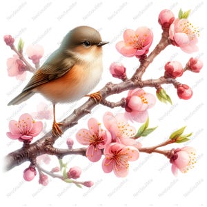 36 Floral Birds Clipart Bundle | Spring Birds Clipart | Blossom Bird ...