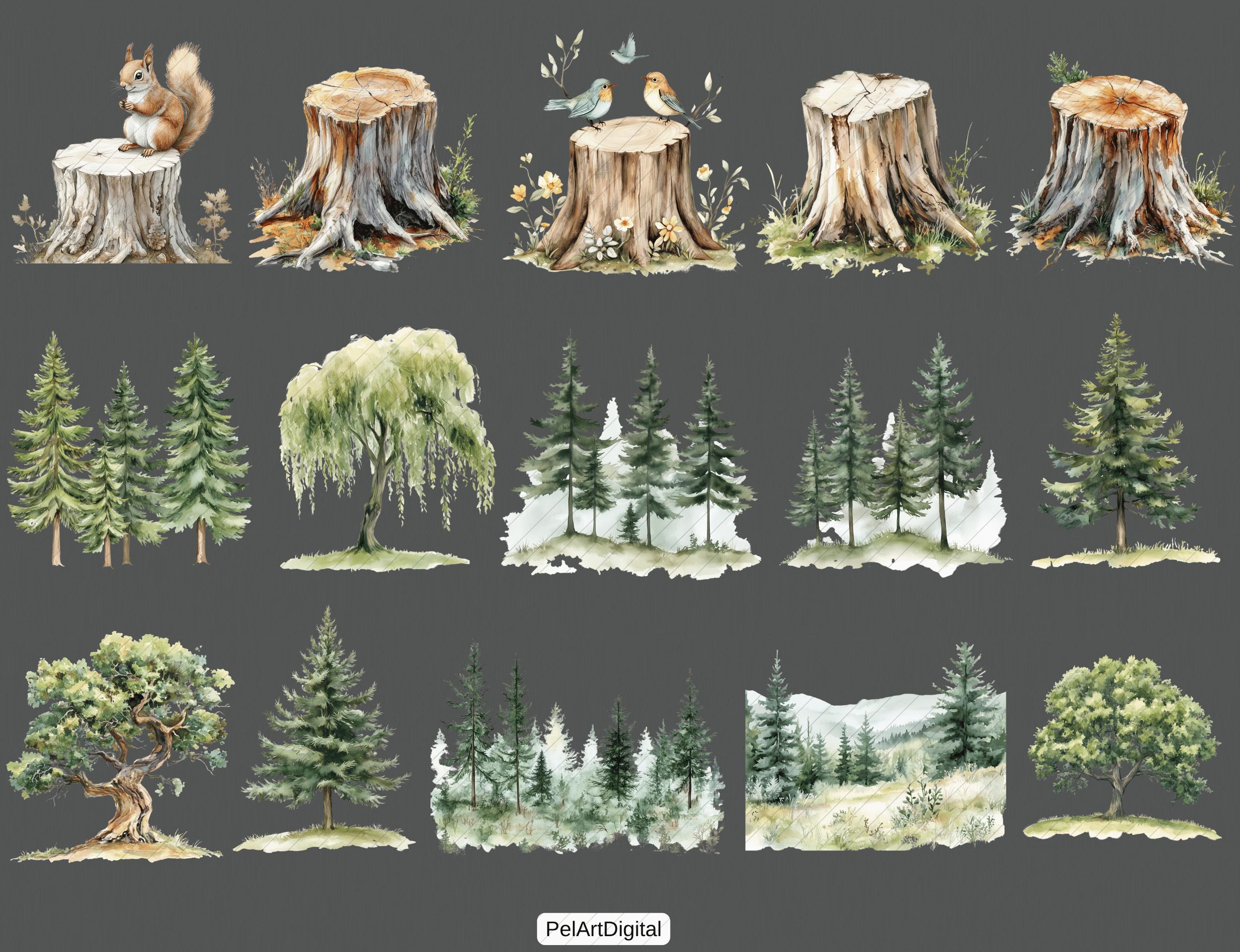 Watercolor Forest Animals Clipart Set: Landscape PNG, Scrapbooking ...