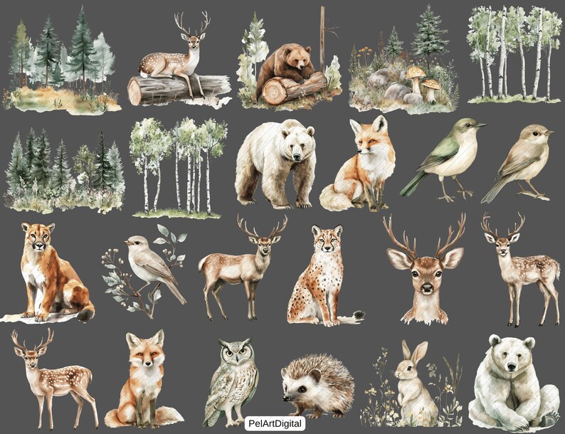 Watercolor Forest Animals Clipart Set: Landscape PNG, Scrapbooking ...