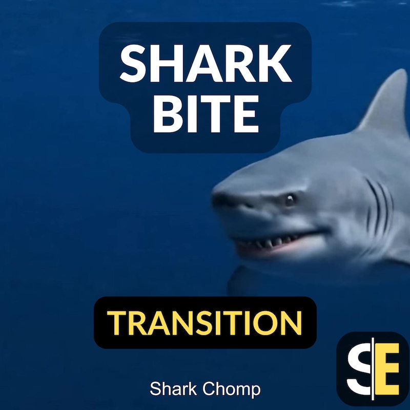 Shark Bite - Etsy