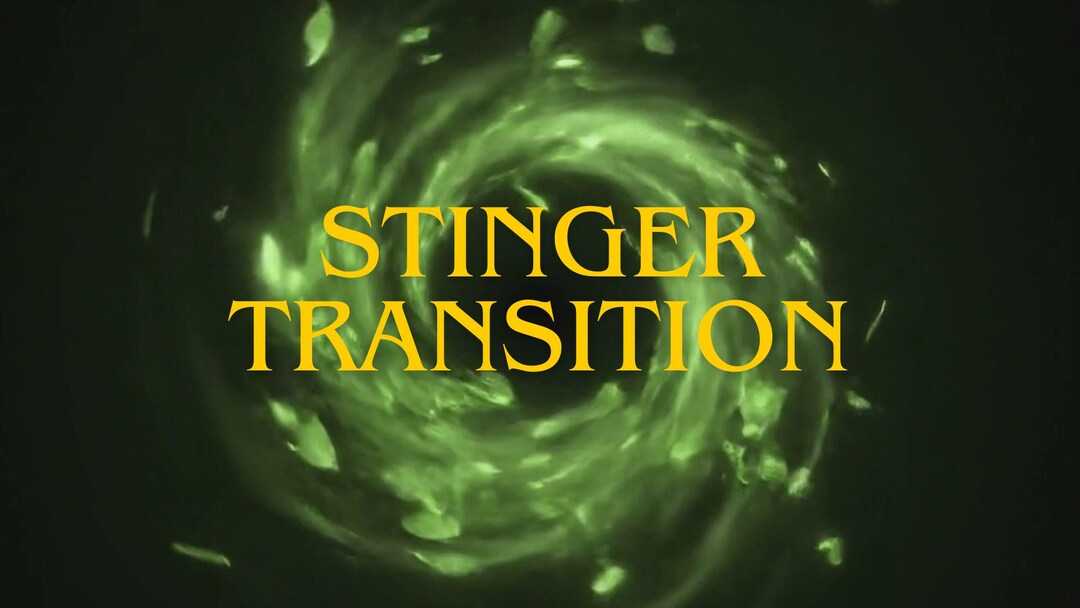 Whirlwind of Leaves Stinger Transition | Nature & Wind Magic VFX for ...