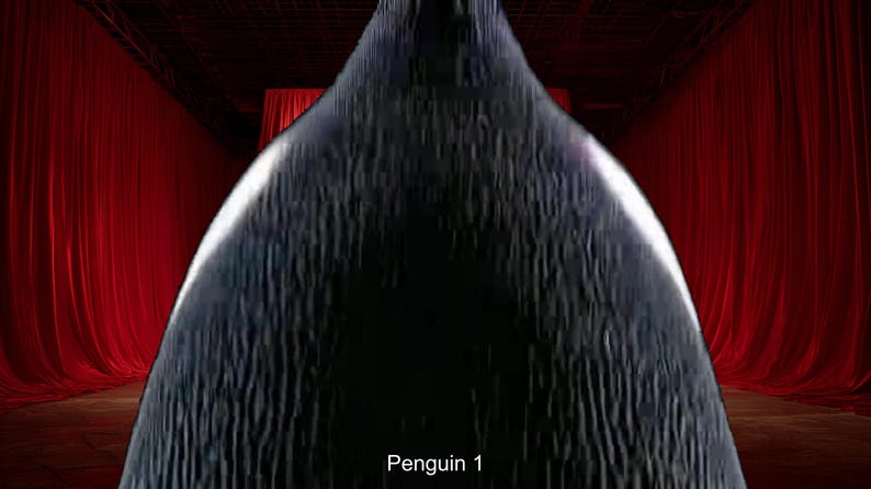 Penguin Stream Transition | Twitch Stinger (digital Download) - Etsy