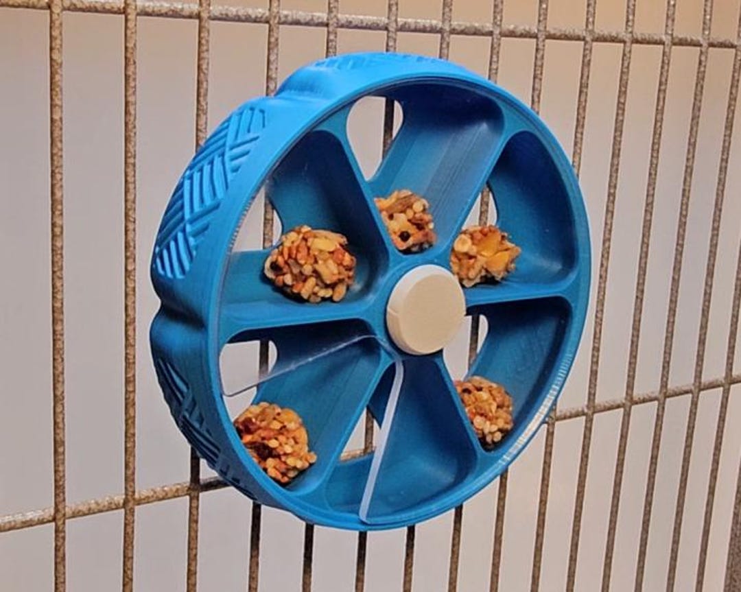 Bird Forage Wheel | Interactive Treat Toy - Etsy