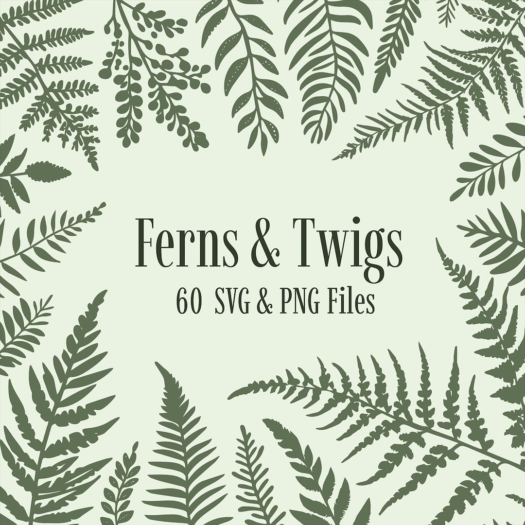 Ferns Leaves SVG Bundle, Botanical PNG Graphics, Twigs Branches Clipart ...