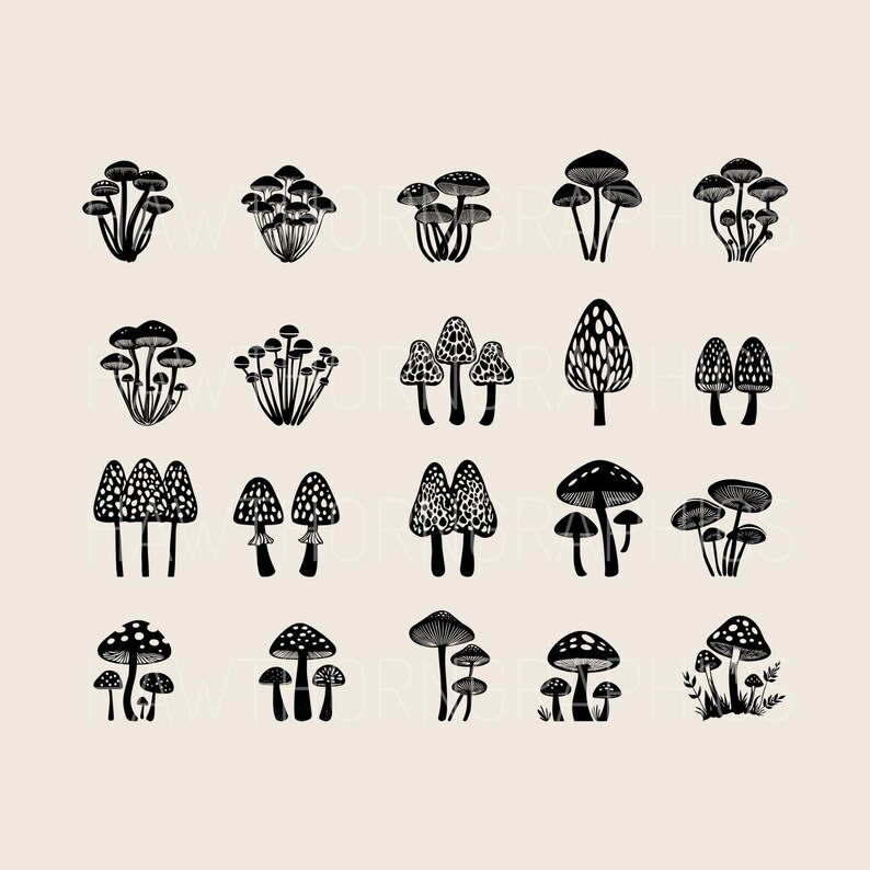 Mushroom SVG Bundle, 40 Mushroom PNG Clipart, Minimalist Modern ...