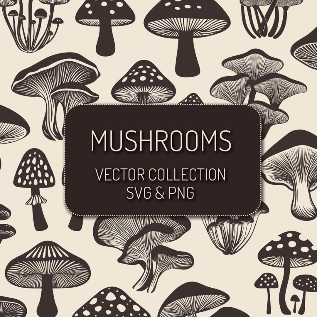 Mushroom SVG Bundle, 40 Mushroom PNG Clipart, Minimalist Modern ...