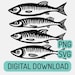 Sardines SVG PNG Digital Download, Fish Clipart, Sardine Stencil ...