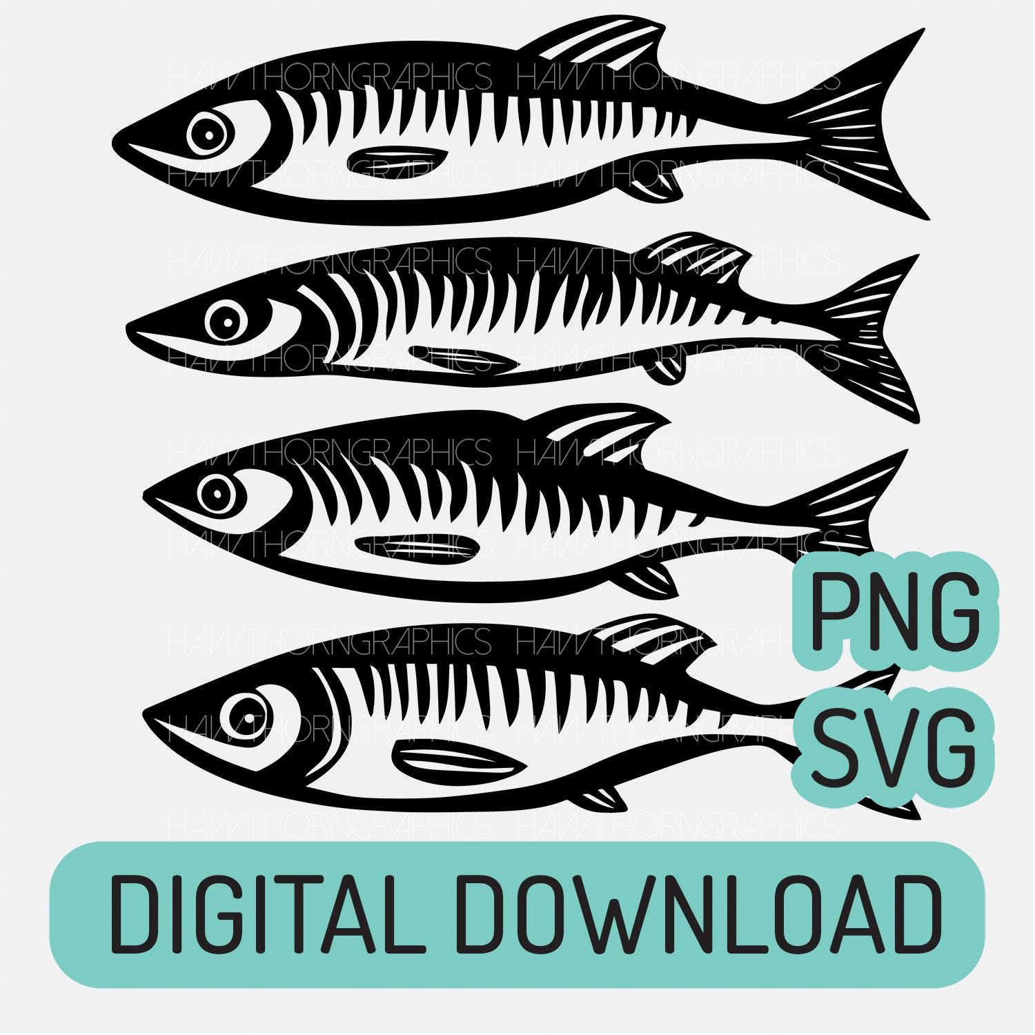 Sardines SVG PNG Digital Download, Fish Clipart, Sardine Stencil ...