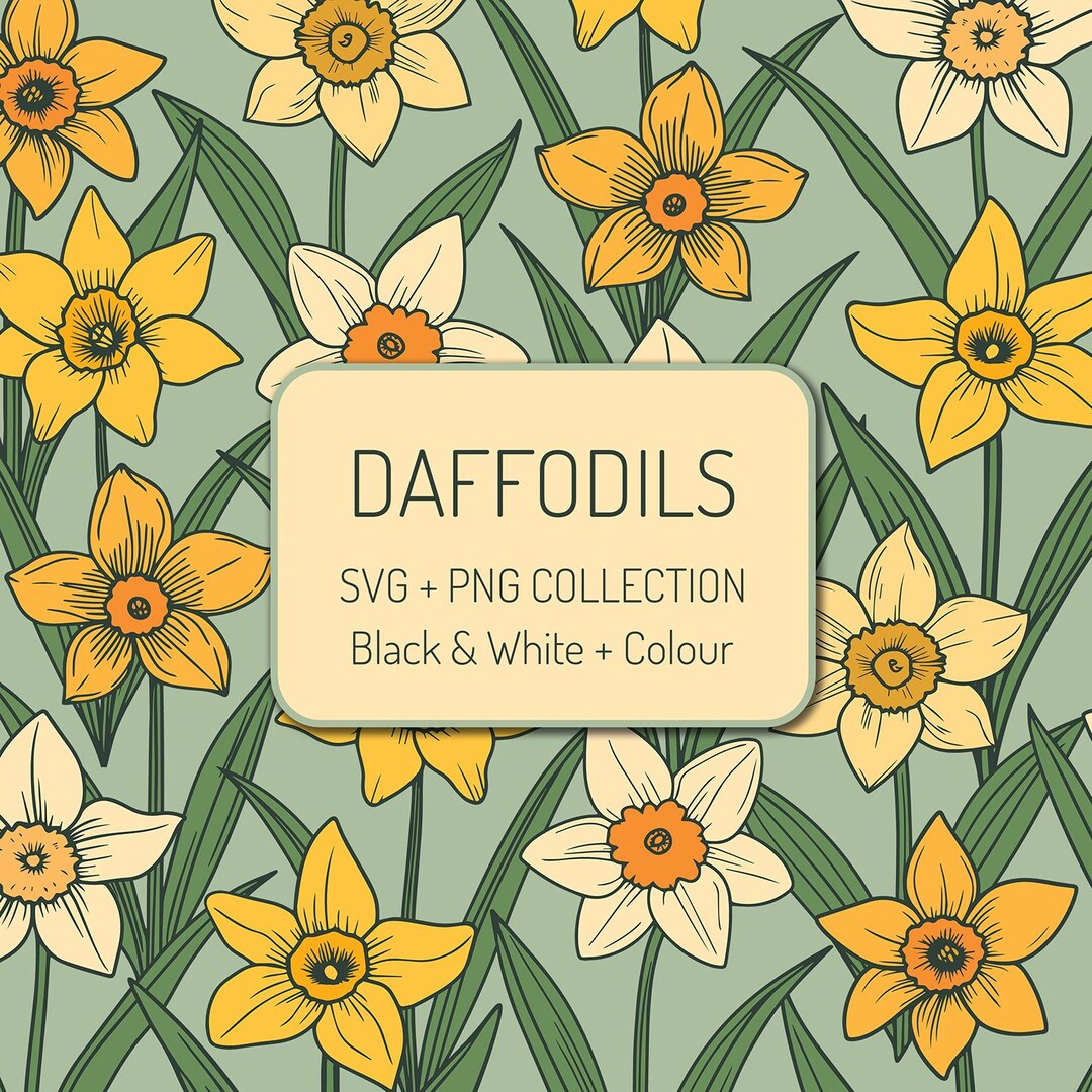 Daffodil SVG Bundle, Daffodil PNG, Spring Flowers Clipart, Easter SVG ...