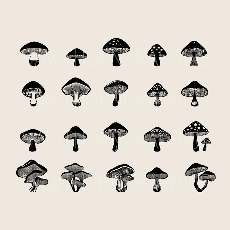 Mushroom SVG Bundle, 40 Mushroom PNG Clipart, Minimalist Modern ...