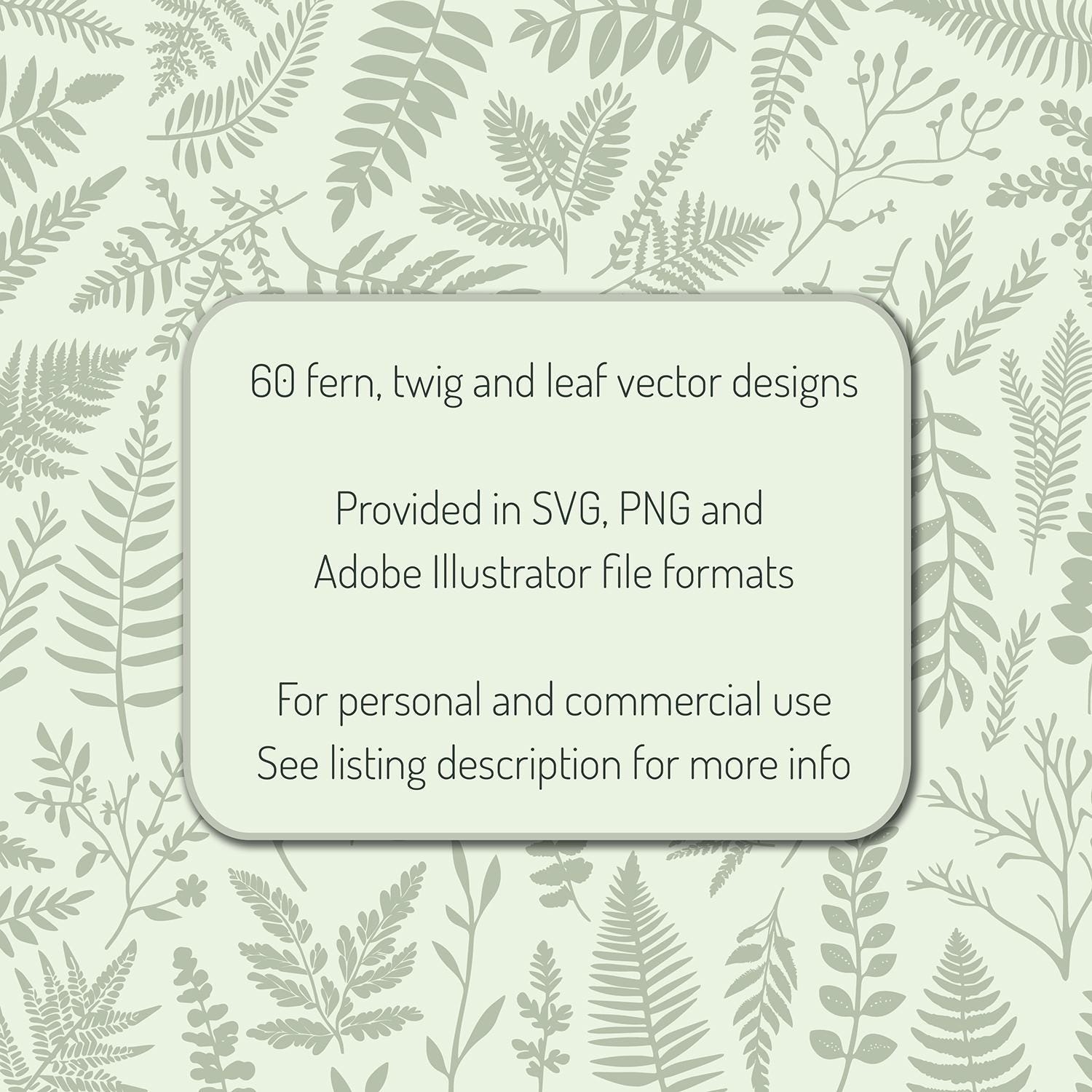 Ferns Leaves SVG Bundle, Botanical PNG Graphics, Twigs Branches Clipart ...