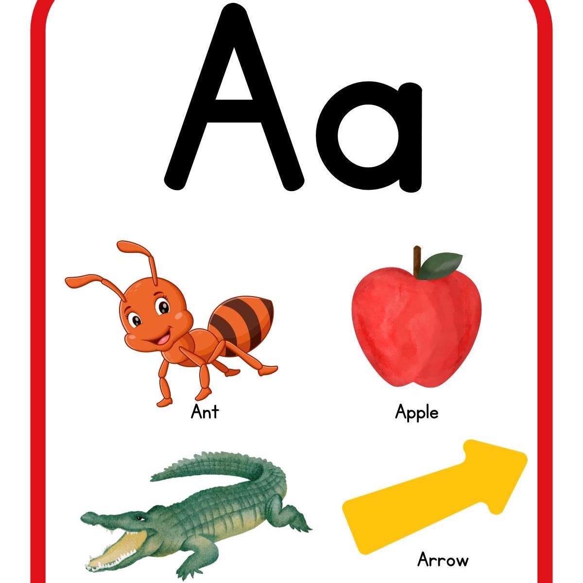 Flash Cards/ Printable Flash Cards/pre-school Flash Cards/vocabulary ...