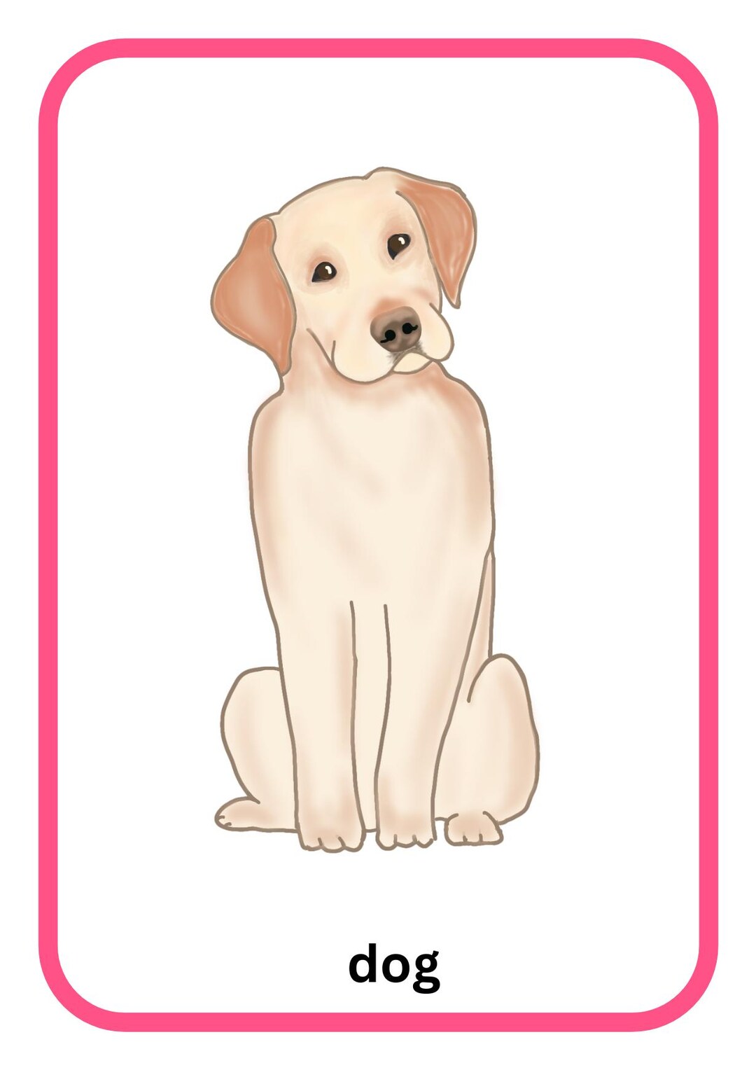 Animals and Their Babies Flash /flash Cards/ Printable Flash Cards/pre ...