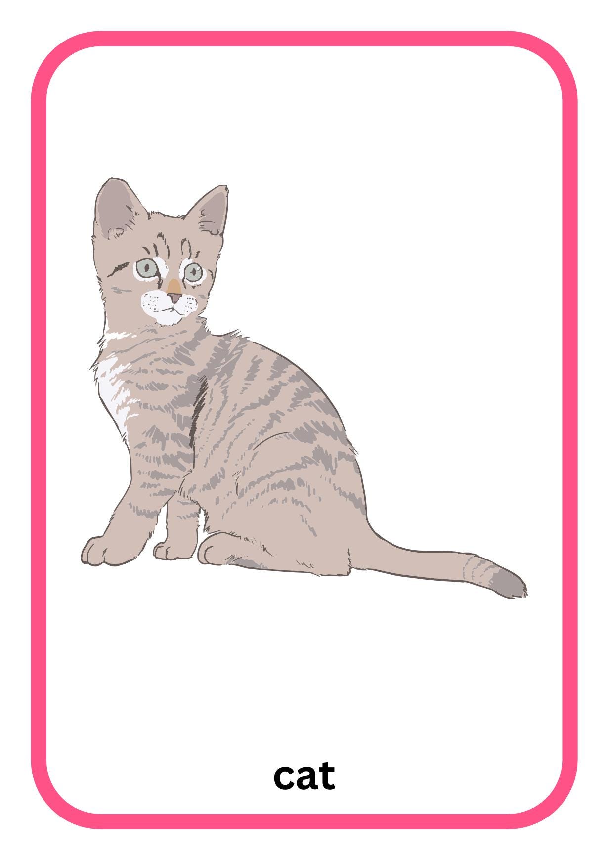 Animals and Their Babies Flash /flash Cards/ Printable Flash Cards/pre ...