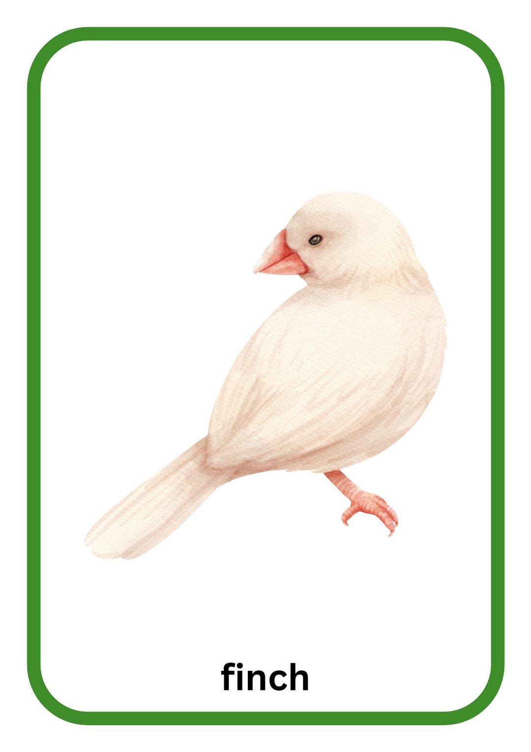 Flash Cards/ Printable Flash Cards/pre-school Flash Cards/ Pet Animals ...