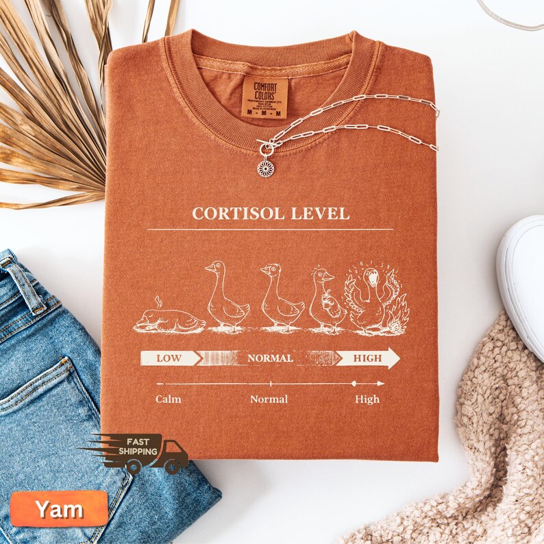 Funny Cortisol Meter Silly Goose Shirt, Stressed Meme Burnout Coworker ...