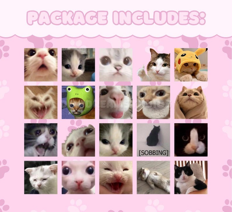 350 Animated Cat Emotes Pack for Twitch, Youtube, Discord, Kick | Cute ...