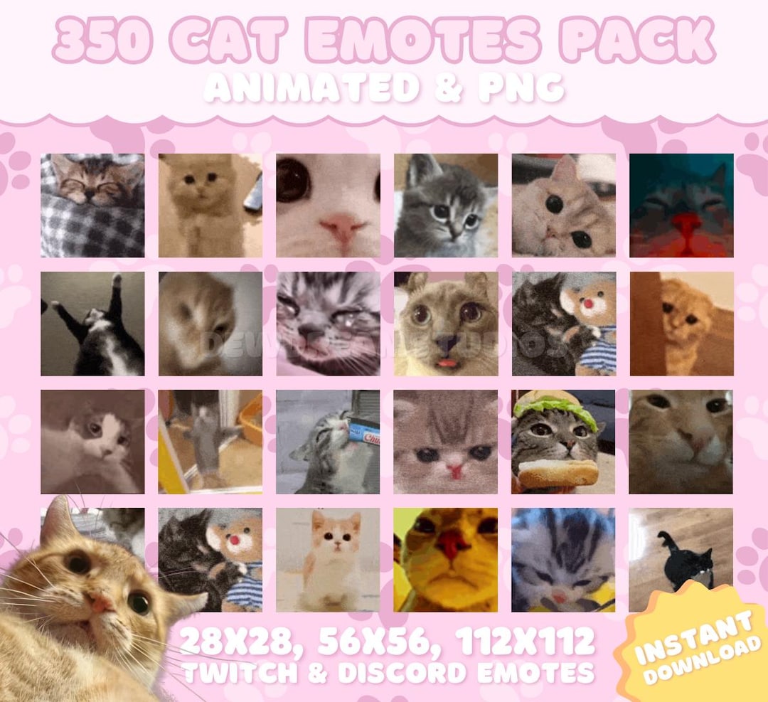 350 Animated Cat Emotes Pack for Twitch, Youtube, Discord, Kick | Cute ...