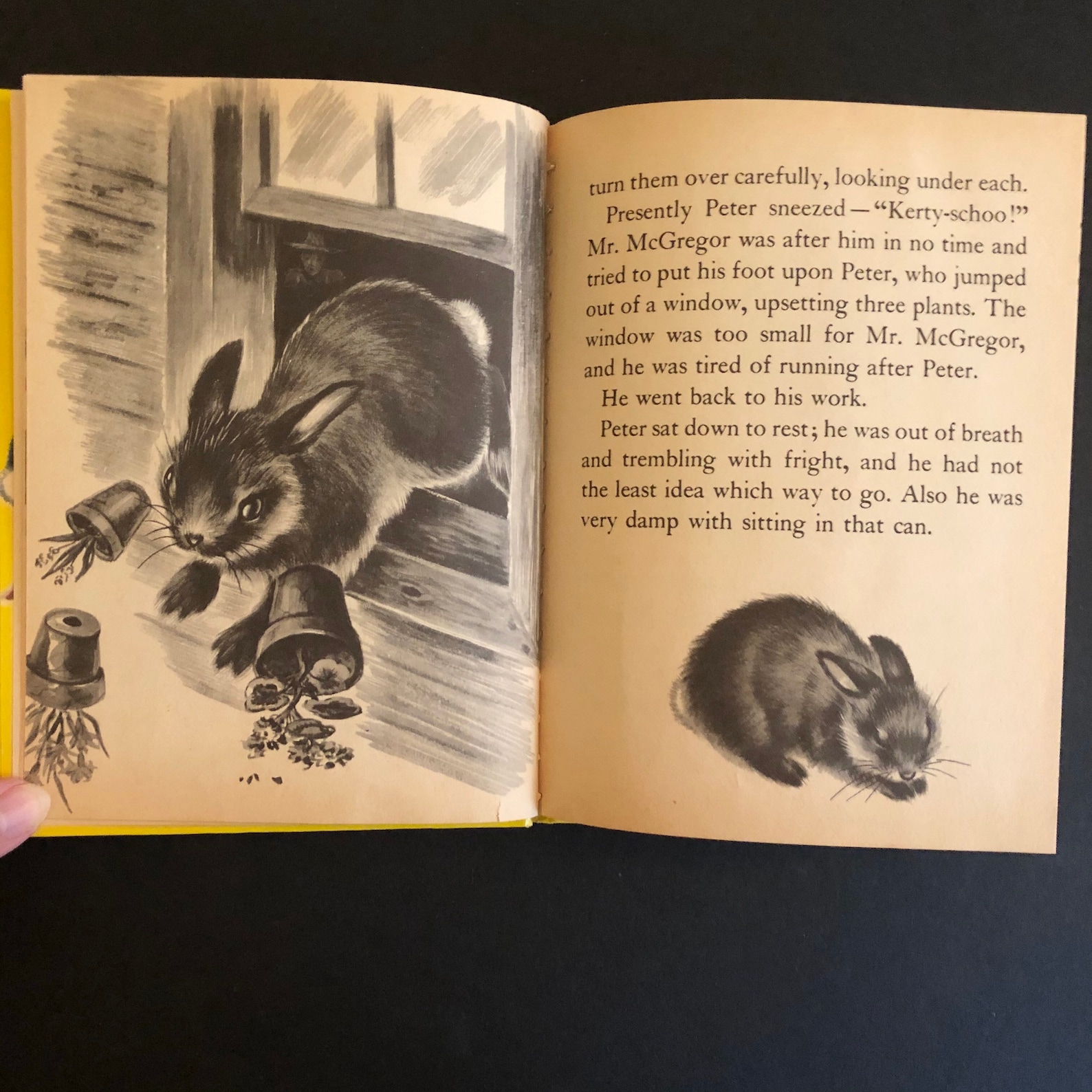 VINTAGE 40s Peter Rabbit Childrens Book - Etsy